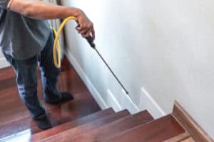 How To Identify Termites In Your Home? - Termite Control Singapore